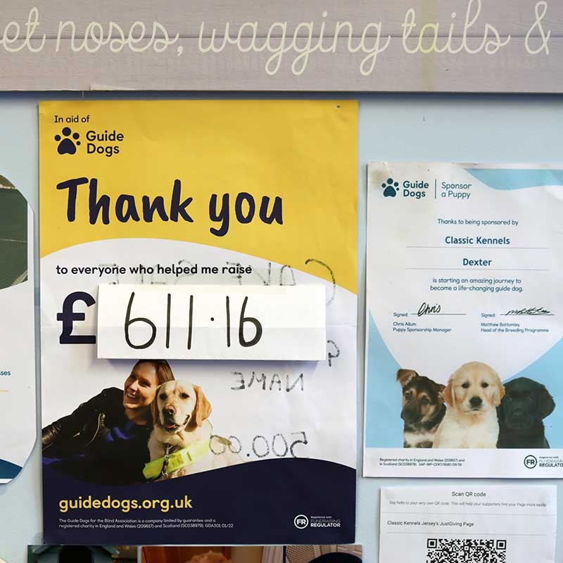 Prices – Classic Kennels Jersey