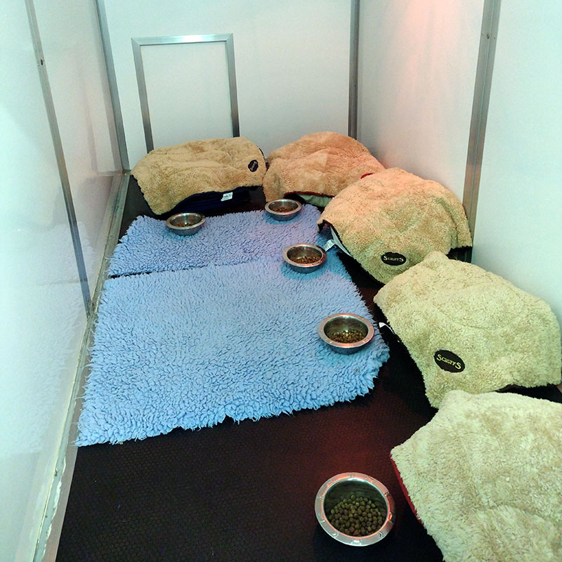 Kennels – Classic Kennels Jersey